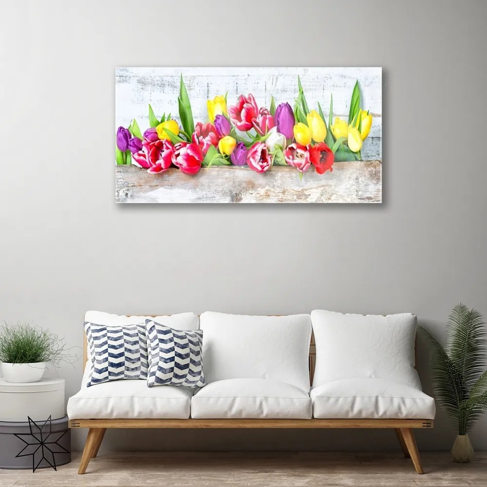 Plexisklo-obraz Tulipány Květiny Příroda 100x50 cm