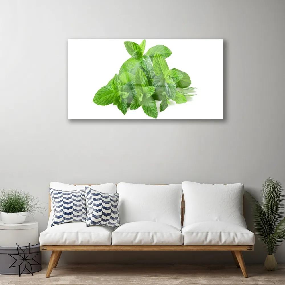 Obraz na skle Máta Rostlina Příroda 140x70 cm