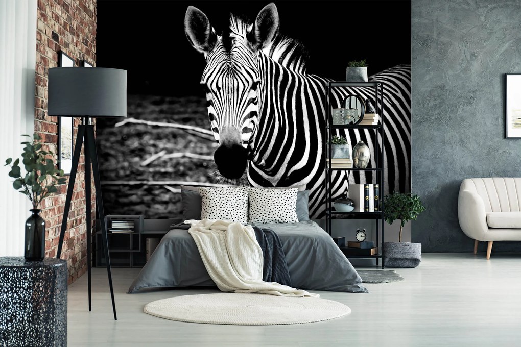 Malvis ® Tapeta Zebra Vel. (šířka x výška): 144 x 105 cm