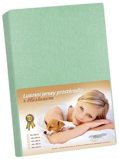 Bellatex prostěradlo jersey s elastanem světlá zelená rozměr 180x200x40 cm