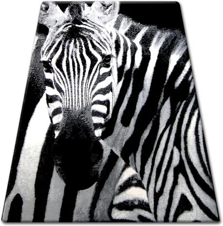 Balta  Kusový koberec FLASH 33302/190 Zebra černý bílý 120 x 170