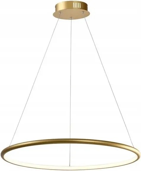 Závěsná Led lampa moderní zlatá kruhová 62 cm 4000K Reality
