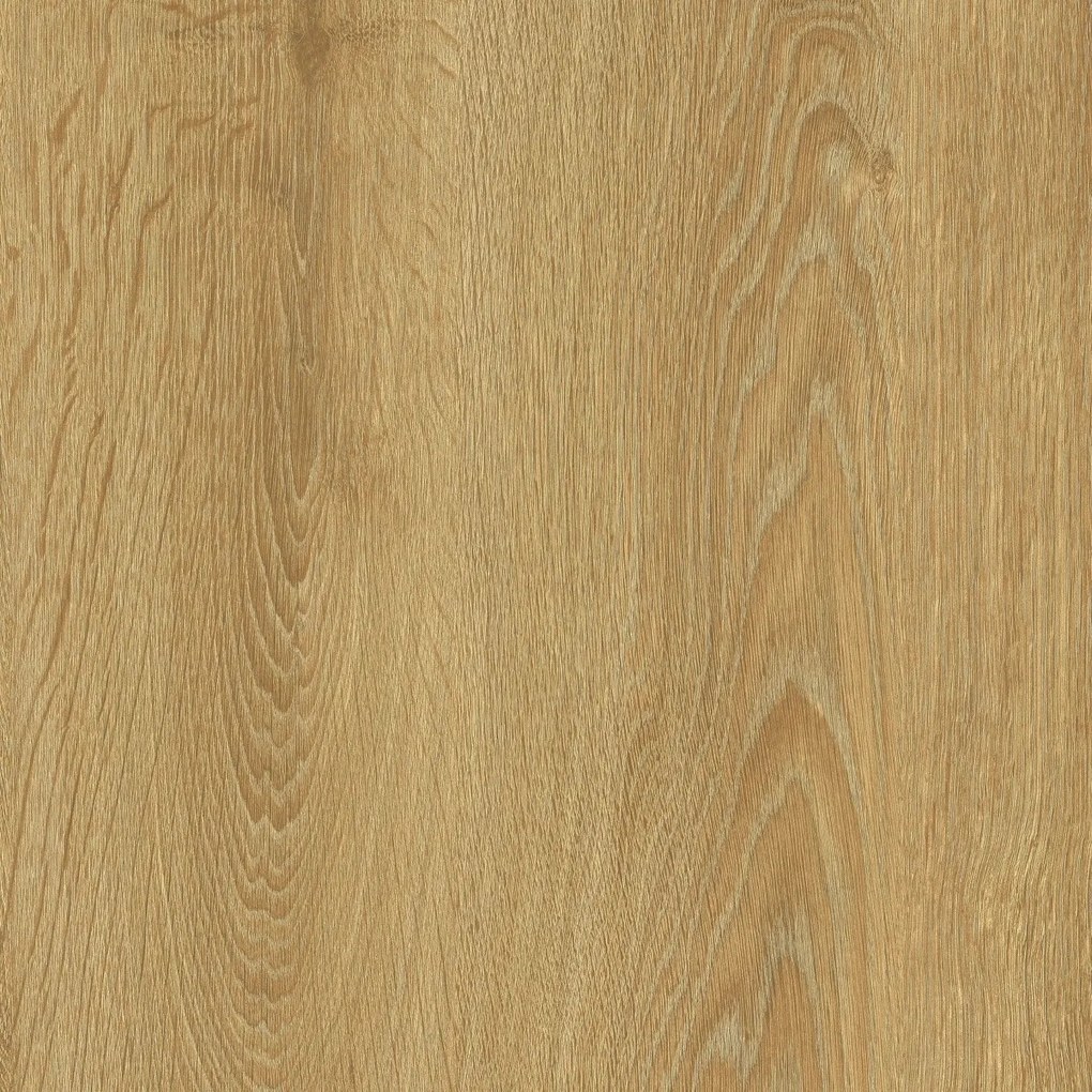IVC Commercial, PVC podlaha - lino Logitex Ultimate 55 Elias T44, na míru, šíře 2m,4m, hnědá, filc, chodba / předsíň