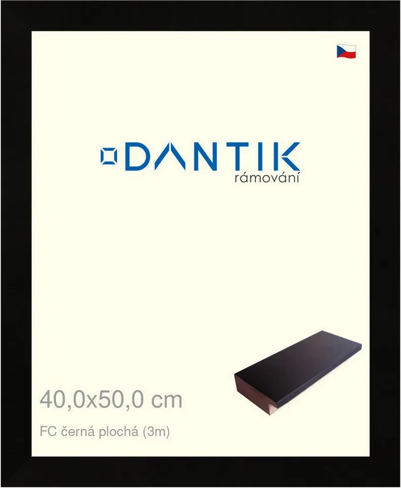 DANTIK rámeček 40x50 | FC černá plochá (Sklo Čiré)