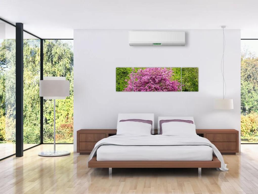 Obraz rozkvetlého stromu na louce (170x50 cm)