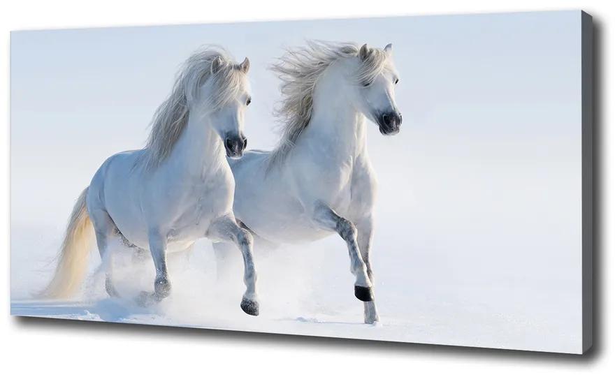 Wallmuralia Foto obraz na plátně do obýváku Dva koně ve sněhu 100x50 cm