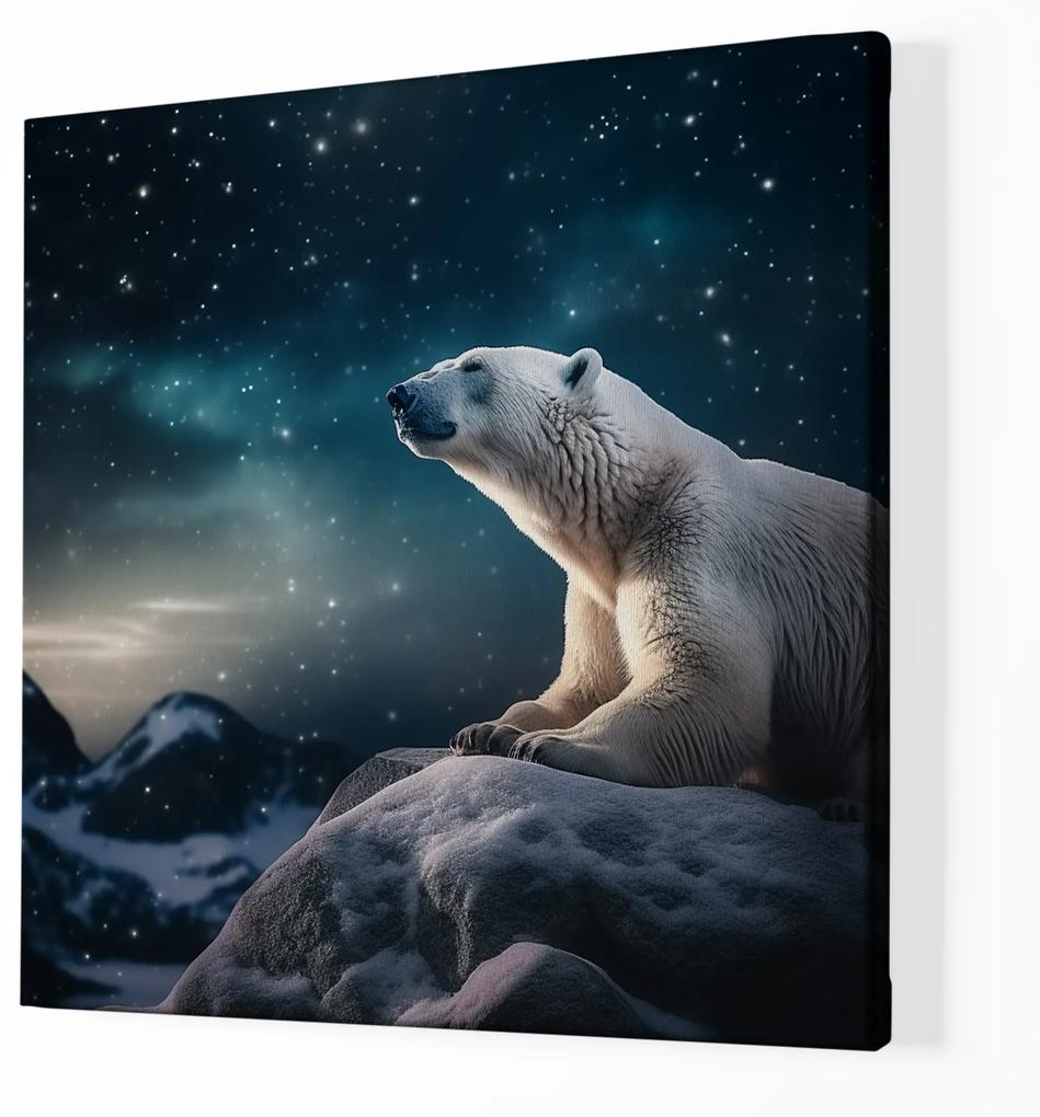 Obraz na plátně - Lední medvěd leží na skále za hvězdné noci FeelHappy.cz Velikost obrazu: 120 x 120 cm