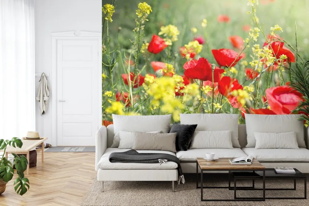 Fototapeta Poppies Meadow Hladký vinyl 368x280