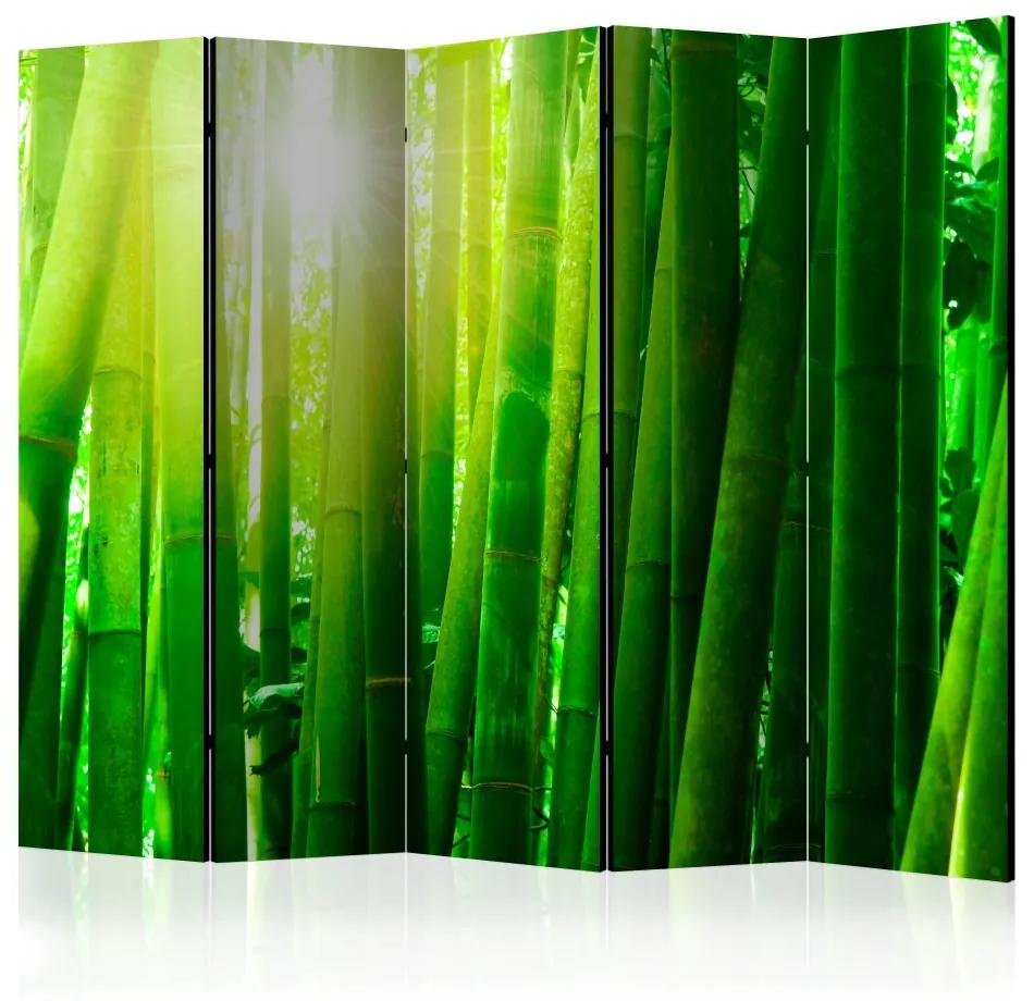 Paraván Sun and bamboo Dekorhome 225x172 cm (5-dílný)