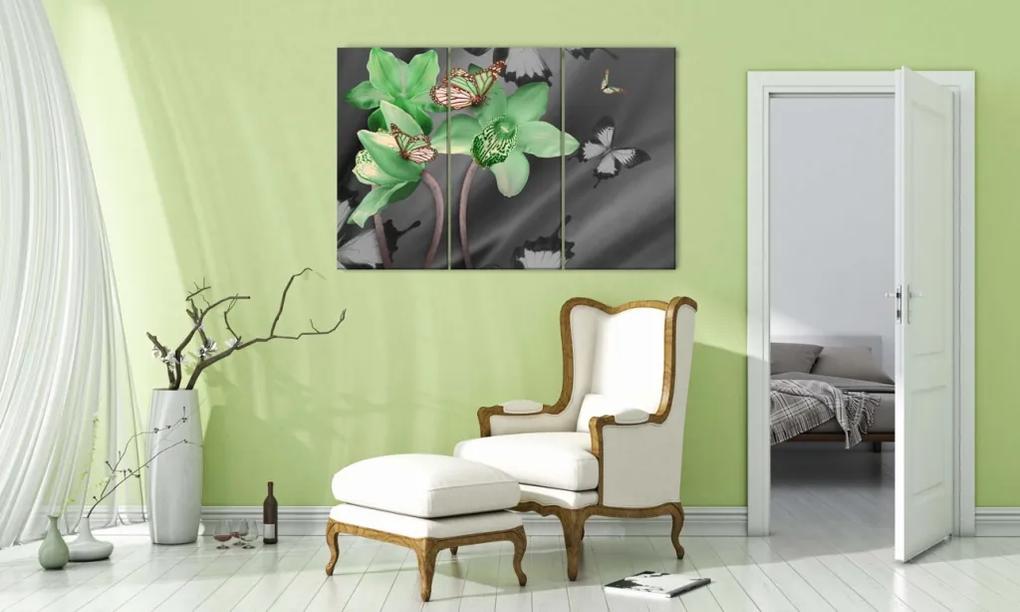 Malvis ® Vícedílný obraz - Zelená orchidej a motýli Velikost (šířka x výška): 150x100 cm