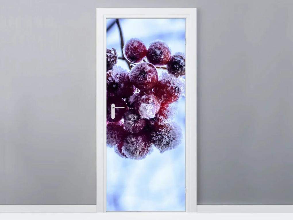 Gario Samolepící fólie na dveře Zamrzlé ovoce 95x205cm Velikost: 95 x 205 cm