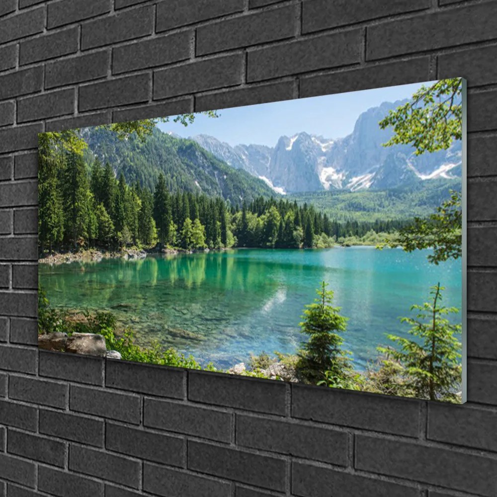 Obraz na skle Hory Jezero Les Příroda 100x50 cm