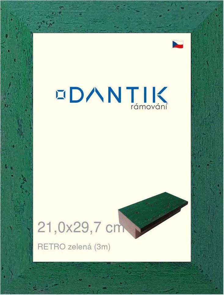 DANTIK rámeček 21x29,7 | RETRO zelená (Sklo Čiré)