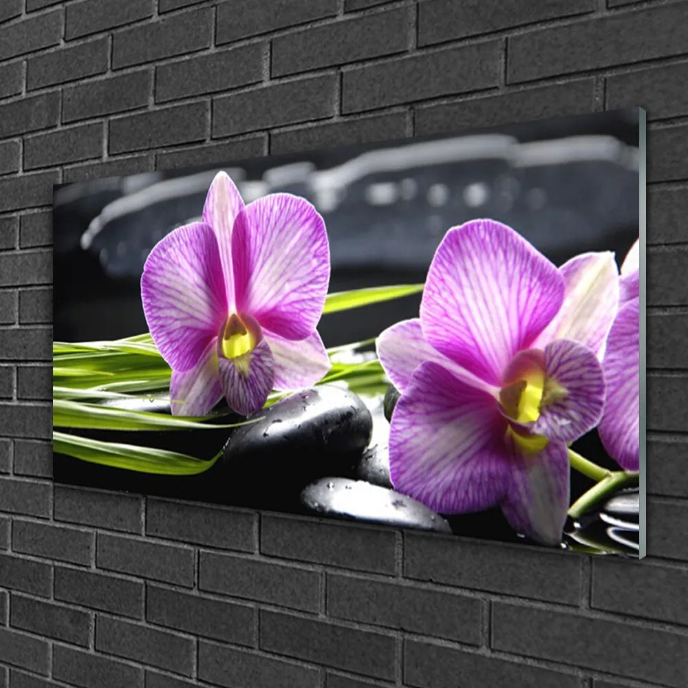 Obraz na skle Orchidej Kameny Zen Lázně 100x50 cm
