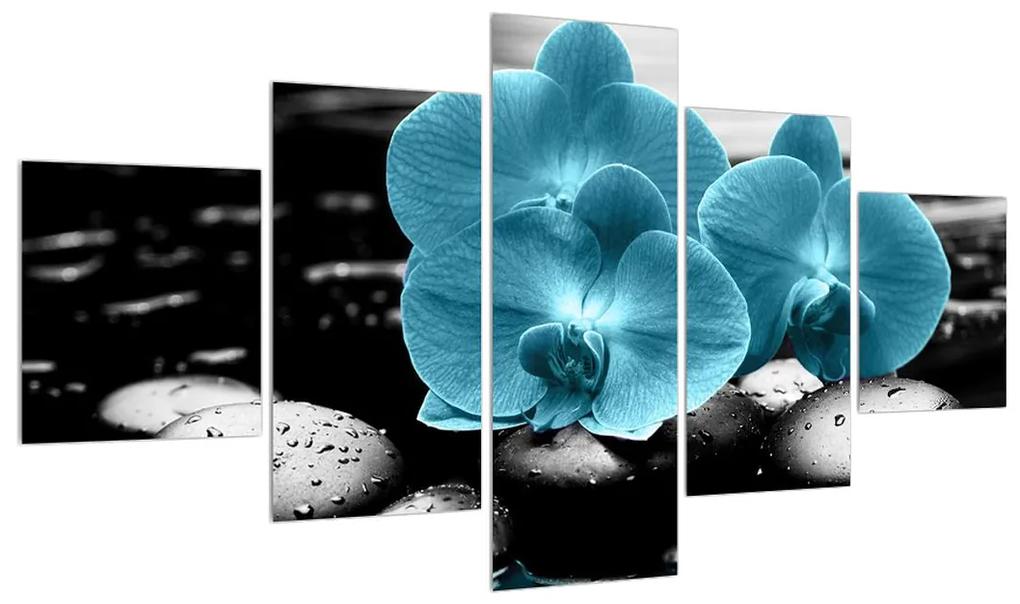Obraz modrých květů orchideje (125x70 cm)