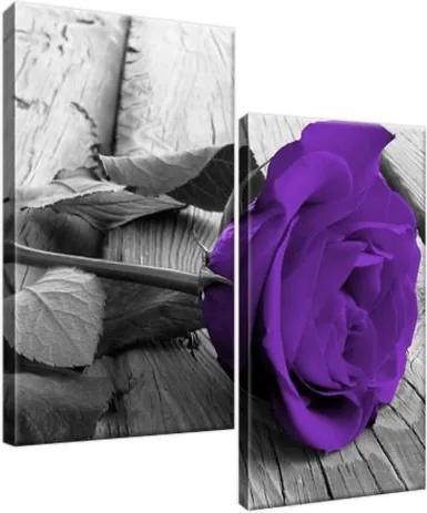 Obraz na plátně Fialové lupeny růže 60x60cm 1853A_2A