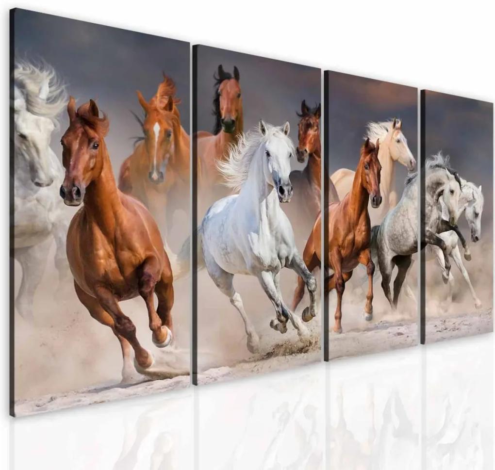 Malvis ® Vícedílný obraz Krása koní Velikost: 160x90 cm