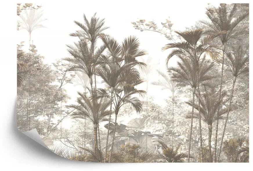 Fototapeta Tropical Trees And Leaves Wallpaper Design In Foggy Forest - 3D Vliesová tapeta 152.5x104