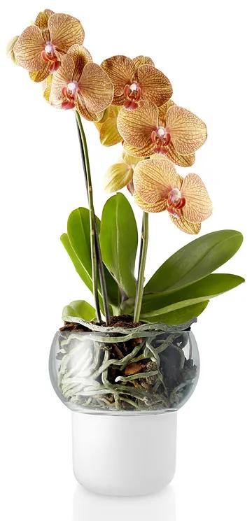 EVA SOLO Skleněný samozavlažovací květináč na orchideje OE 13 cm | BIANO