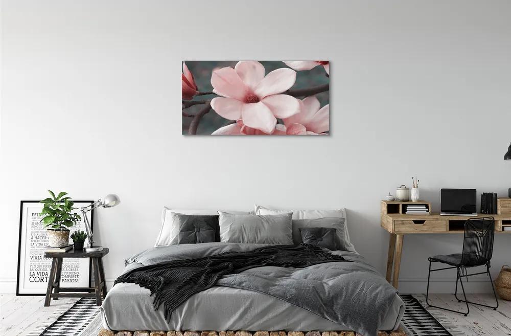 Obrazy na plátně růžové květy 100x50 cm