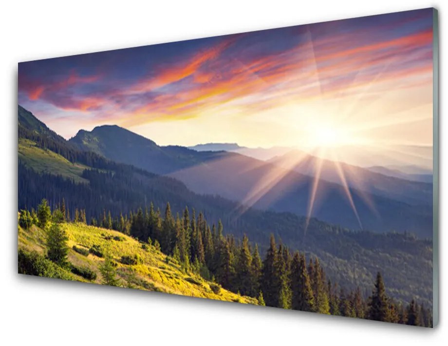 Obraz na skle Hora Les Slunce Krajina 100x50 cm