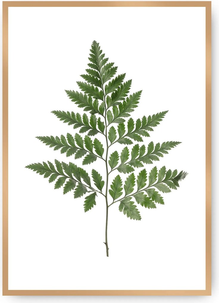 Plakát Fern Green