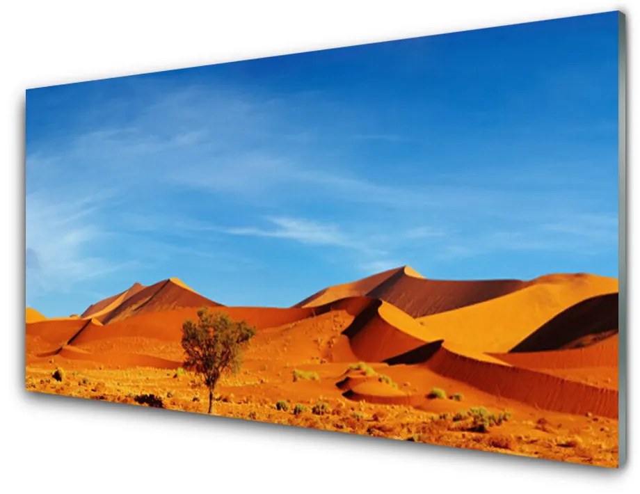 Plexisklo-obraz Poušť Krajina 125x50 cm