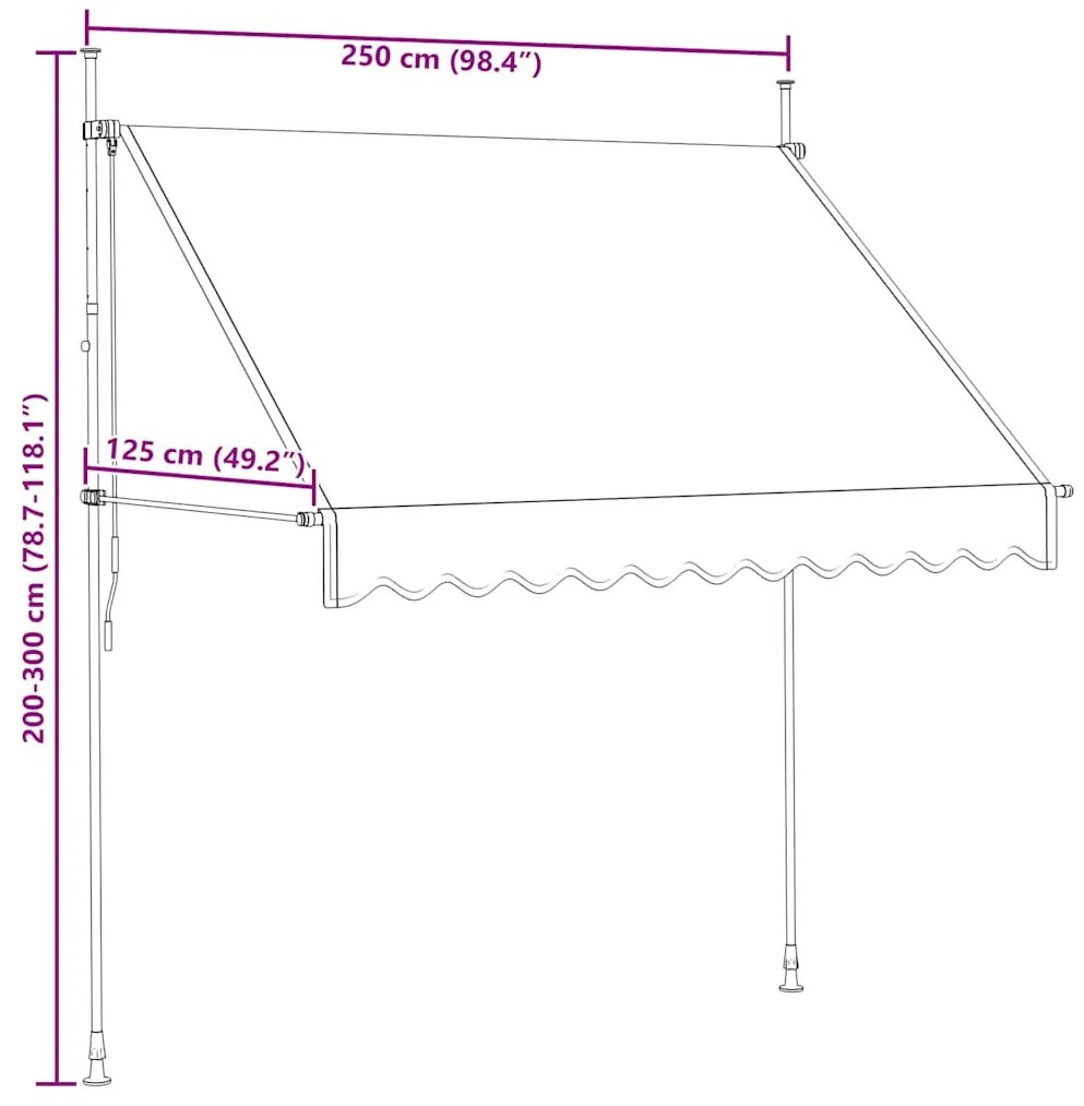 vidaXL Marketos Ručně zatahovací markýza 250 cm antracitová