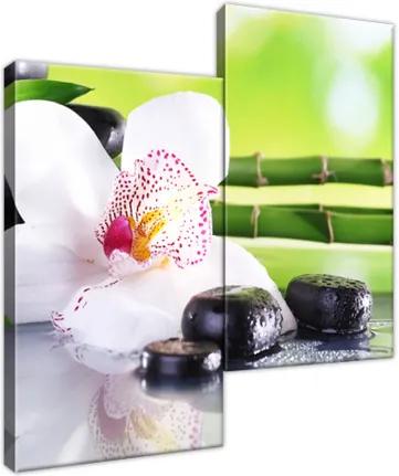 Tištěný obraz Bílá orchidej a kameny 60x60cm 1995A_2J