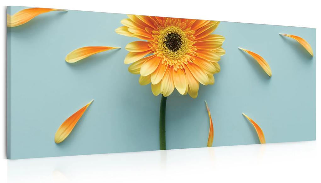 Malvis ® Obraz jednoduchá a veselá gerbera ROZMĚR (šířka x výška): pětidílný obdélník 150x60 cm