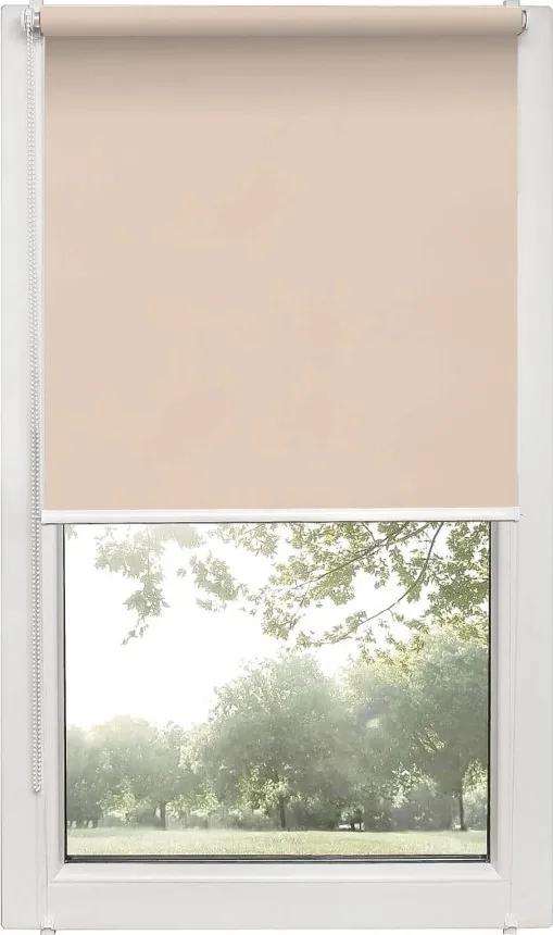 Roleta na okno - Decor D19 Barva ovládání: Bílá, šířka: 77, výška: 150