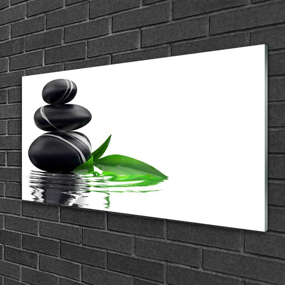 Obraz na skle Kameny Listy Voda Umění 100x50 cm