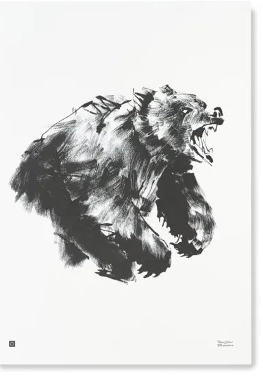 Teemu Järvi Plakát s motivem medvěda Roaring bear 50x70