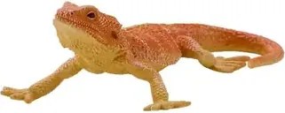 Mojo Agama / od 3 let