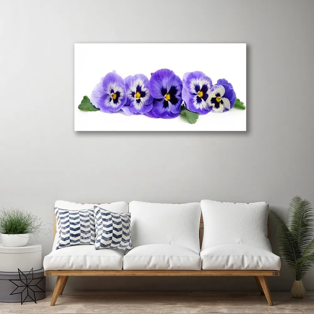 Obraz na plátně Plátky Květ Macešky 125x50 cm