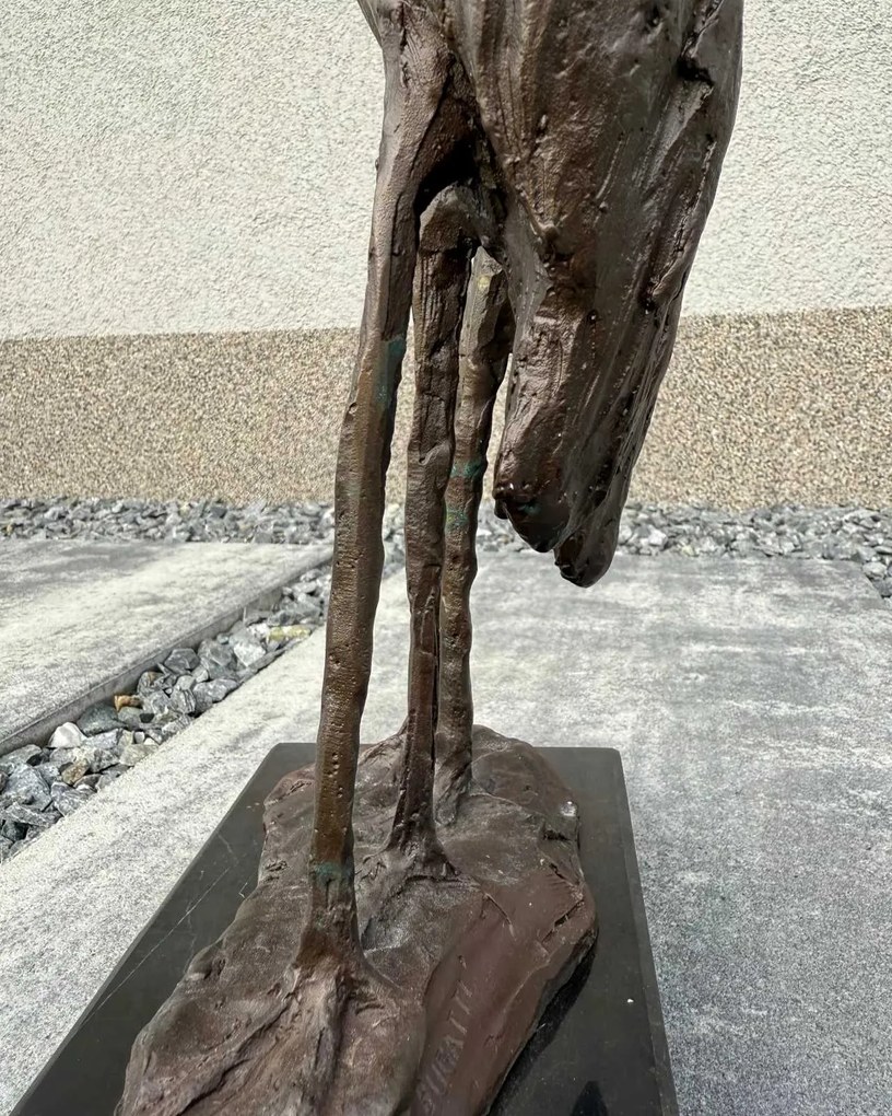 Bronzová socha - Pár marabu exotická soška ptáků