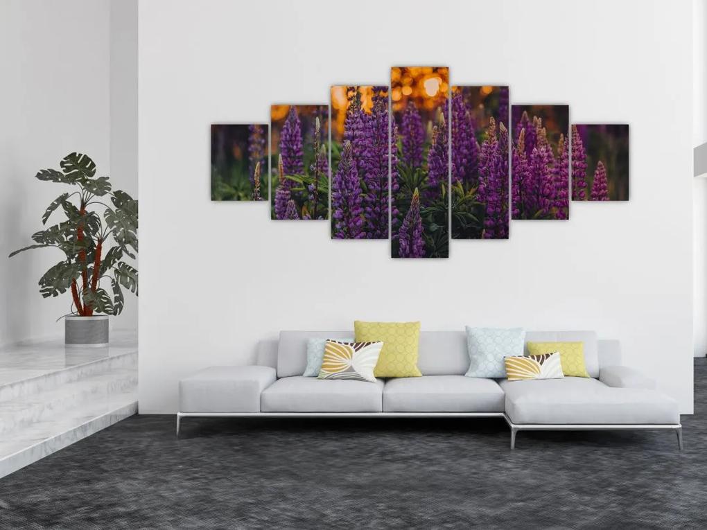 Obraz květů vlčího bobu (210x100 cm)