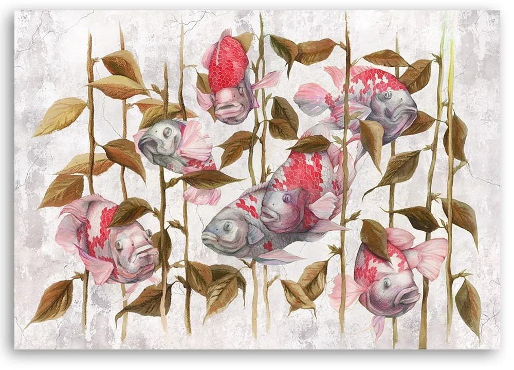 Obraz na plátně, Červená ryba koi - 60x40 cm