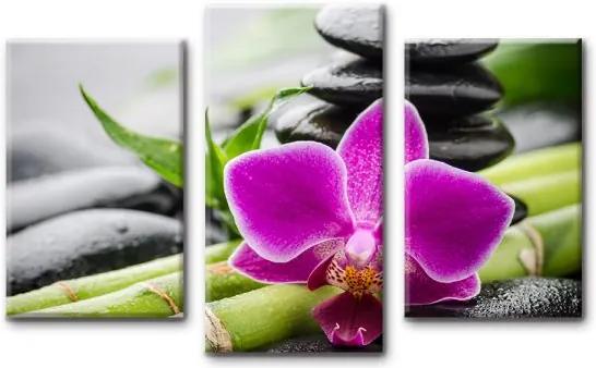 3-dílný obraz - Fialová orchidea