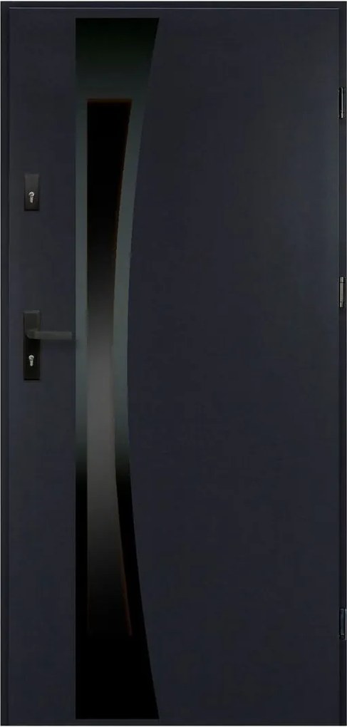 O.K. Doors® Vchodové dveře Teja, 90 P, rozměr vč. zárubně: 1000 × 2070 mm, ocel, pravé, antracit, prosklené