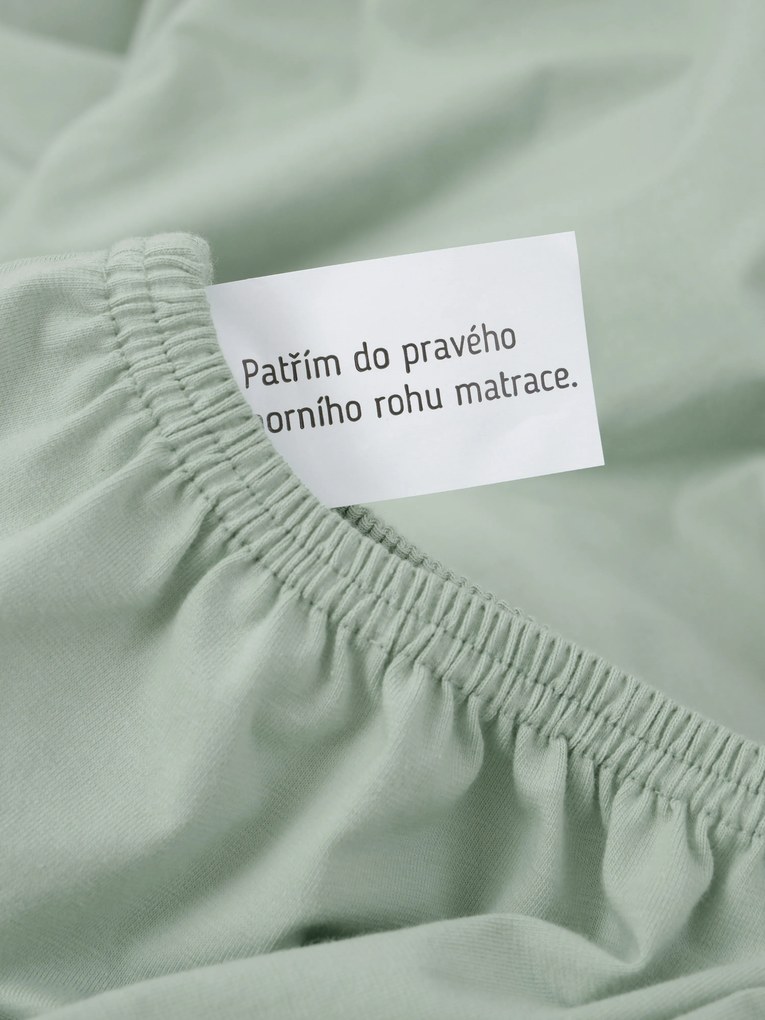 MK Lůžkoviny Jersey prostěradlo s elastanem Deluxe 200 × 200 cm – šalvějová