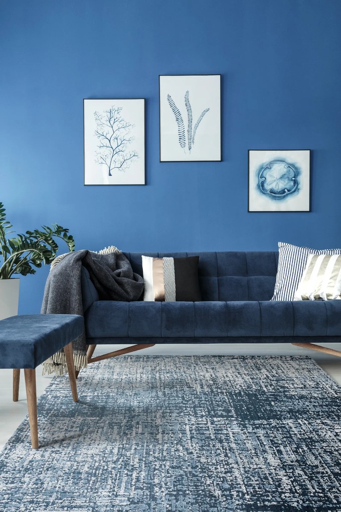 Tribeca Design Kusový koberec Amaro Petrol Blue Rozměry: 200x290 cm