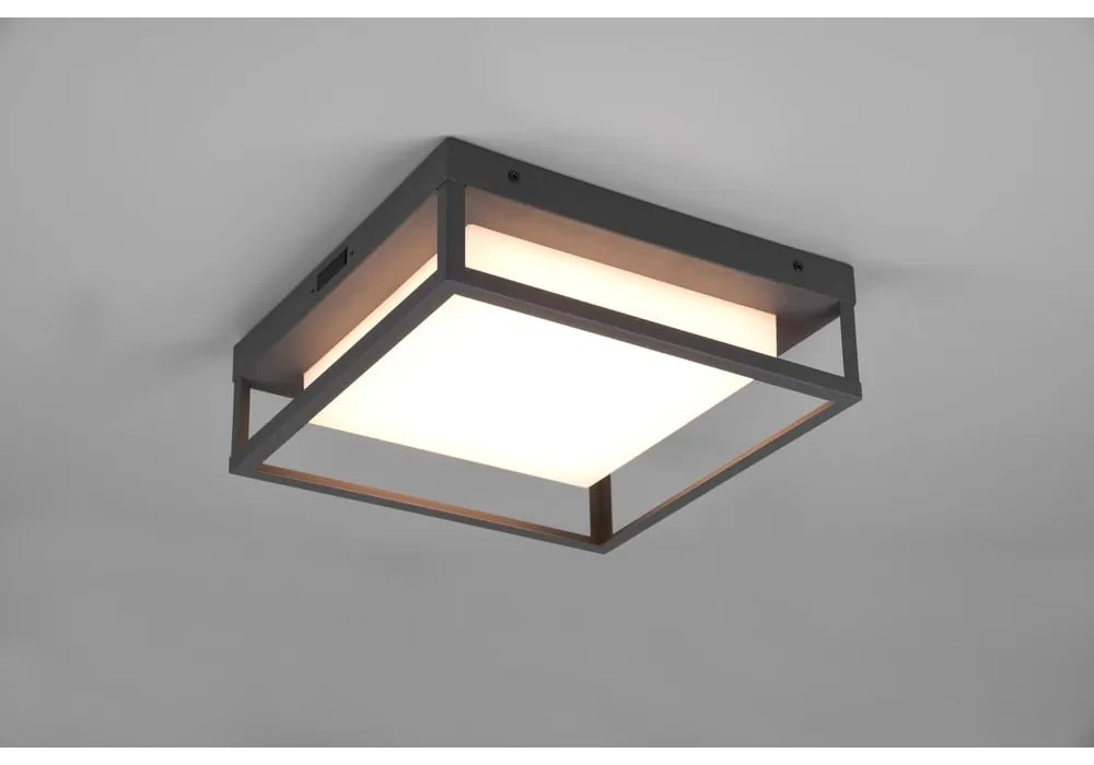 LED nástěnné venkovní svítidlo (výška 10 cm) Witham – Trio