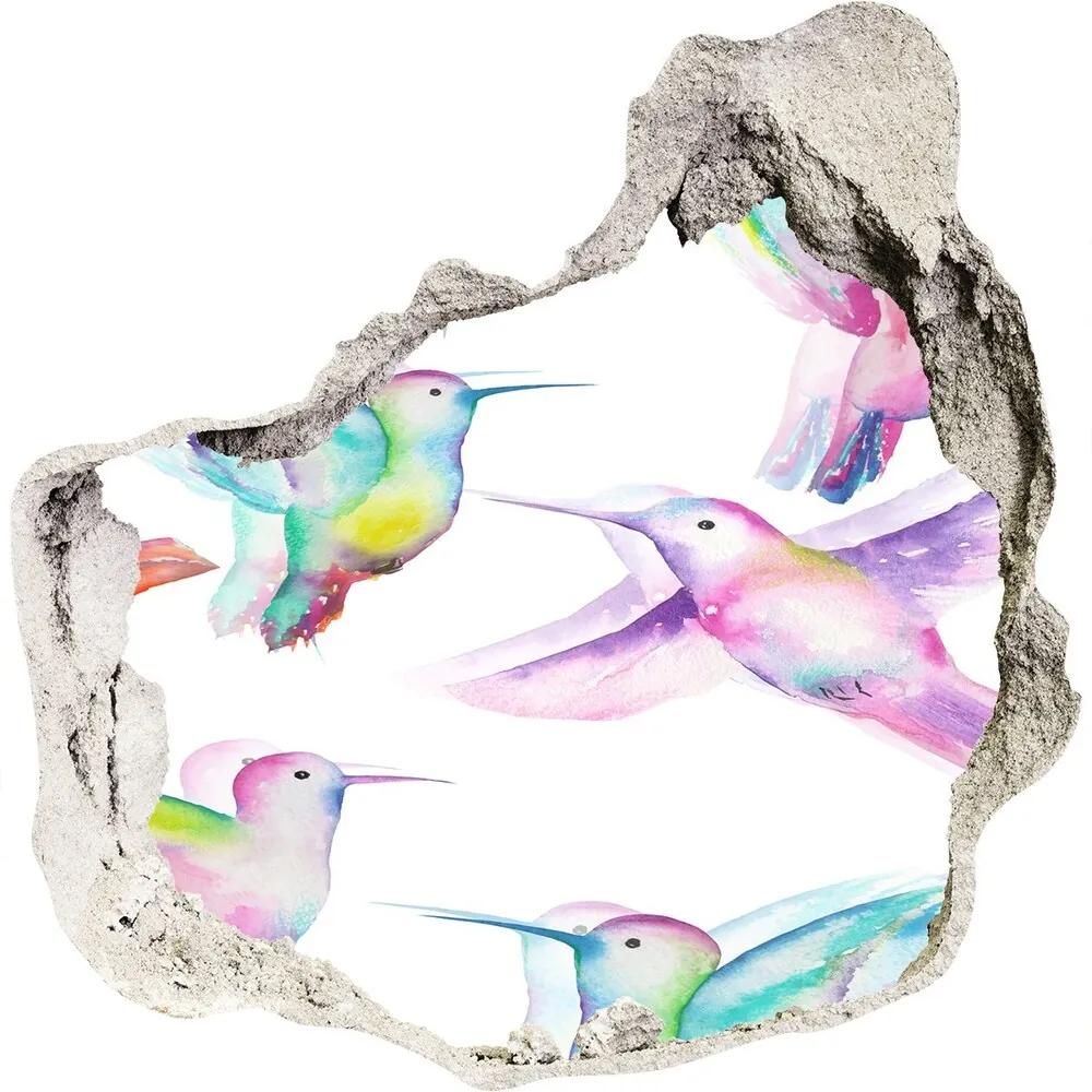 Wallmuralia Díra 3D foto tapeta nálepka Kolibříky 75x75 cm