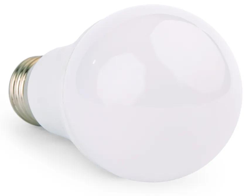 LED žárovka ECOlight - E27 - 10W - 900Lm - teplá bílá
