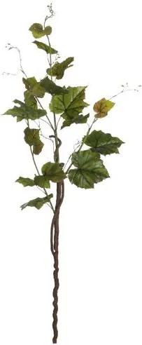 Větvička vinné révy, výška 135 cm