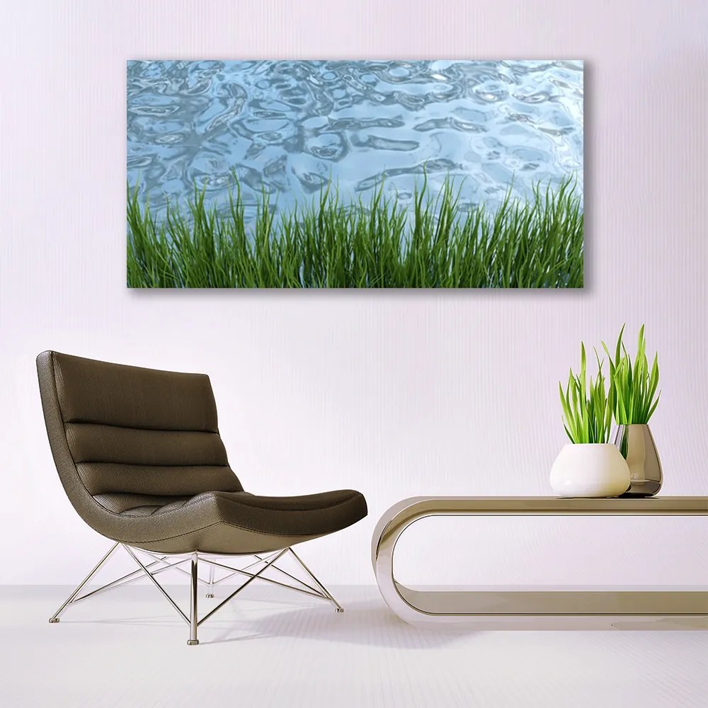 akrylový obraz Tráva Voda Příroda 120x60 cm
