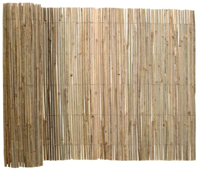 Bambusová zástěna 200 cm x 300 cm