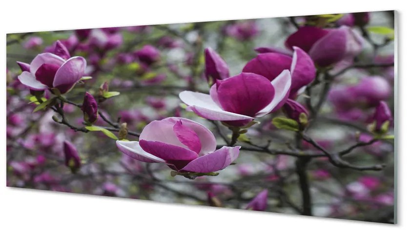 akrylový obraz fialové magnolie 120x60 cm