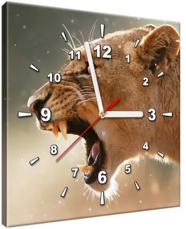 Tištěný obraz s hodinami Lvice 30x30cm ZP2330A_1AI